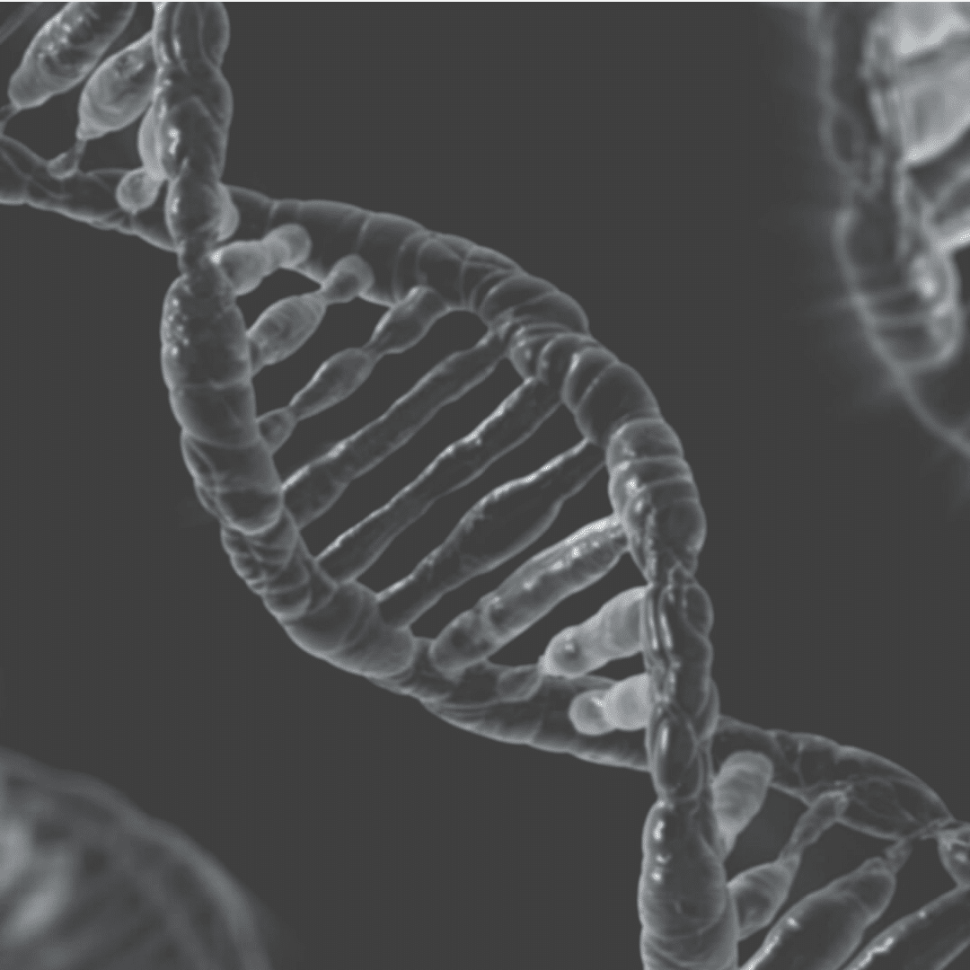 Station B and the Future of Digital Transformation in Molecular Biology ...